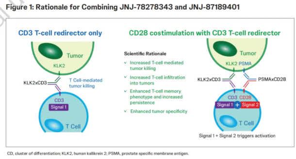 Johnson & Johnson’s KLK2-CD3 Bispecific Antibody JNJ-78278343 Advances ...