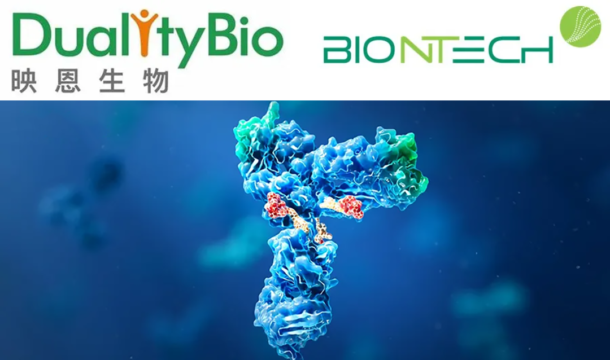 Duality Biologics' DB-1311 ADC Shows Promising Results in Global Phase ...