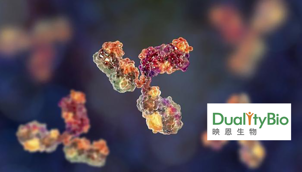 Duality Biologics' BNT324/DB-1311 Shows Positive Results in Global ...