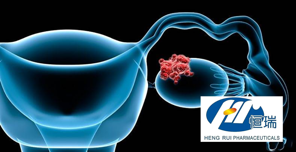 Jiangsu Hengrui's Trastuzumab Rezetecan on Track for NMPA's ...